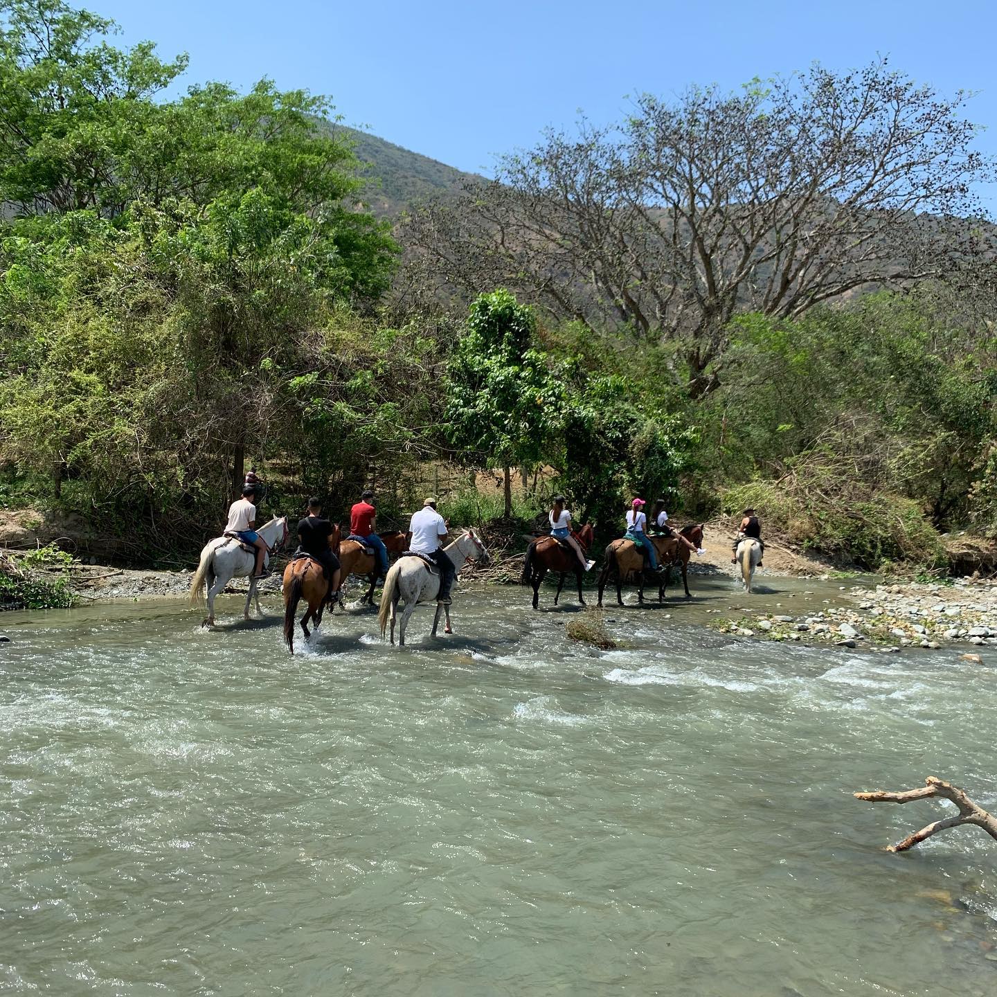 Ecoparque - EL Gaitero